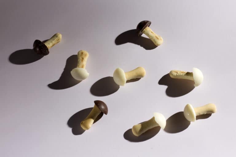 8 Hearty Dishes to Get a Taste of Lithuanian Cuisine – Open The World